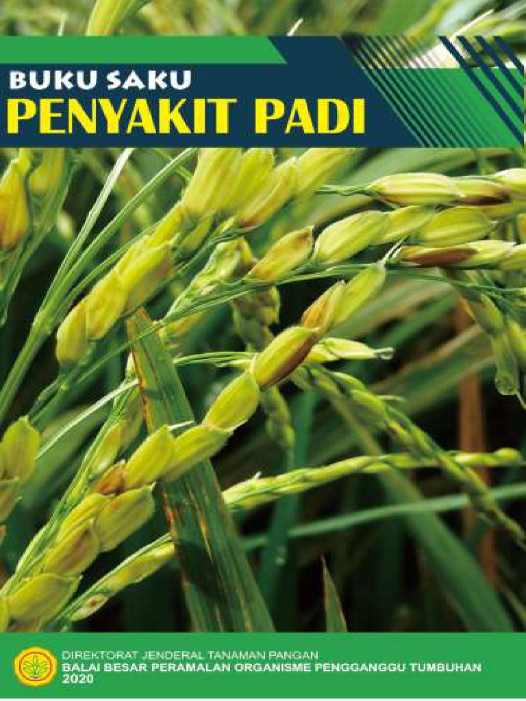 Panduan Identifikasi Penyakit Padi | PDF