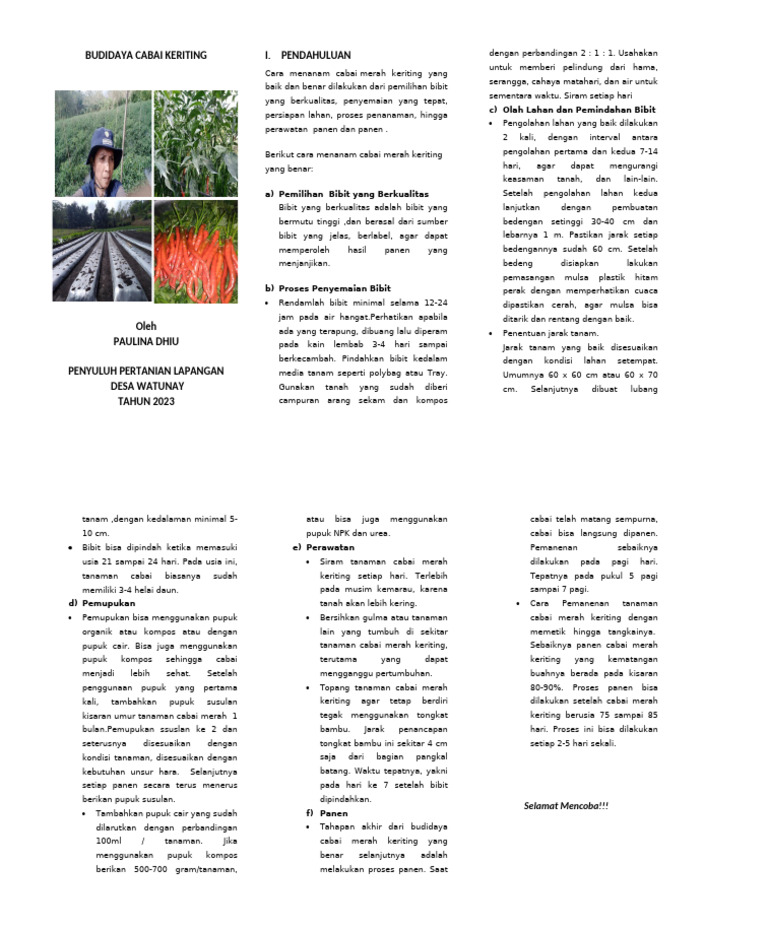 Folder Budidaya Cabai Merah Keriting | PDF