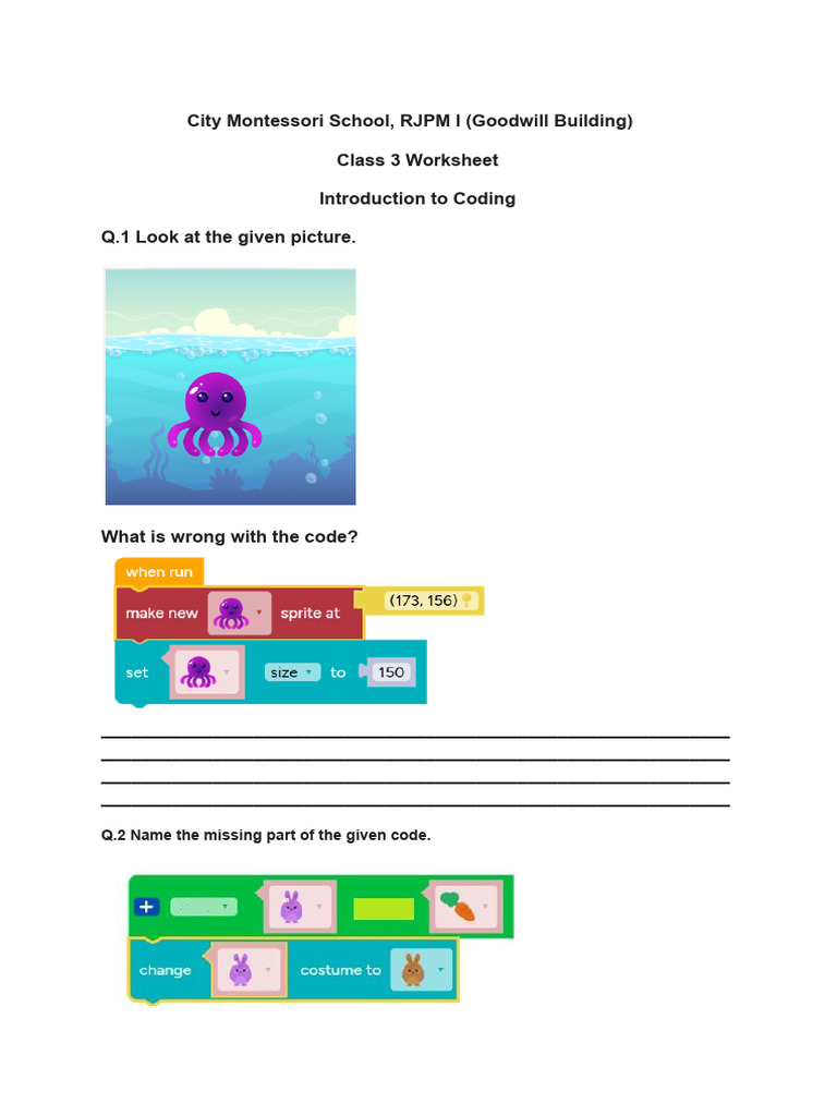 Class 3 Coding Worksheet Guide | PDF