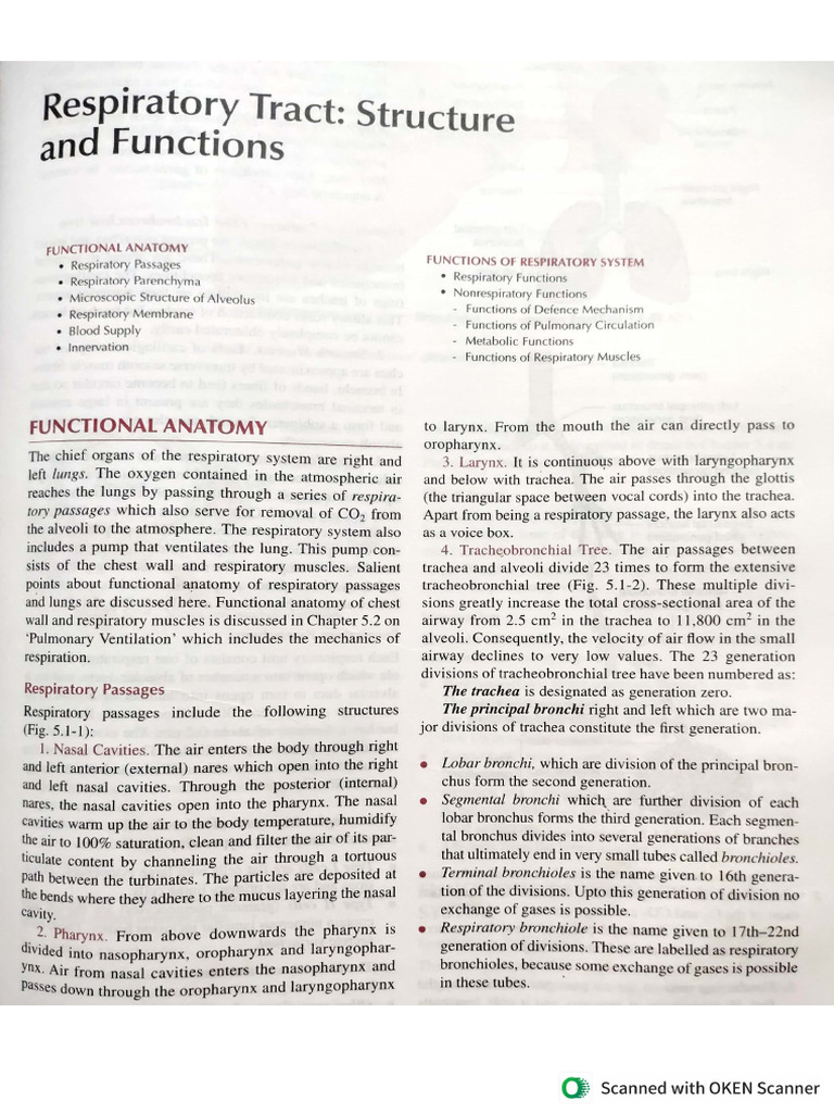 Basic Physiology of Respiratory System | PDF