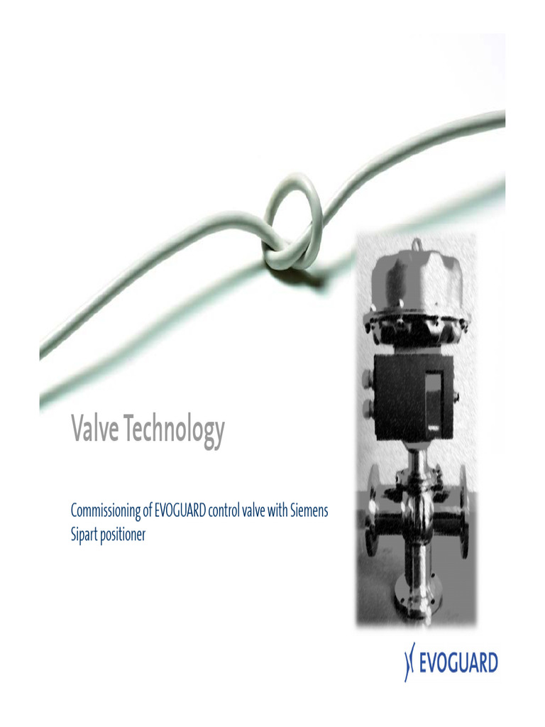 EVOGUARD Control Valve Setup Guide | PDF