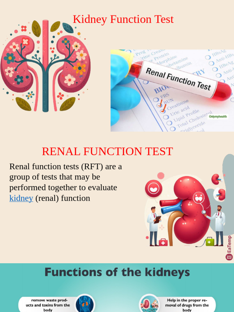 Kidney Function Test | PDF | Creatinine | Kidney