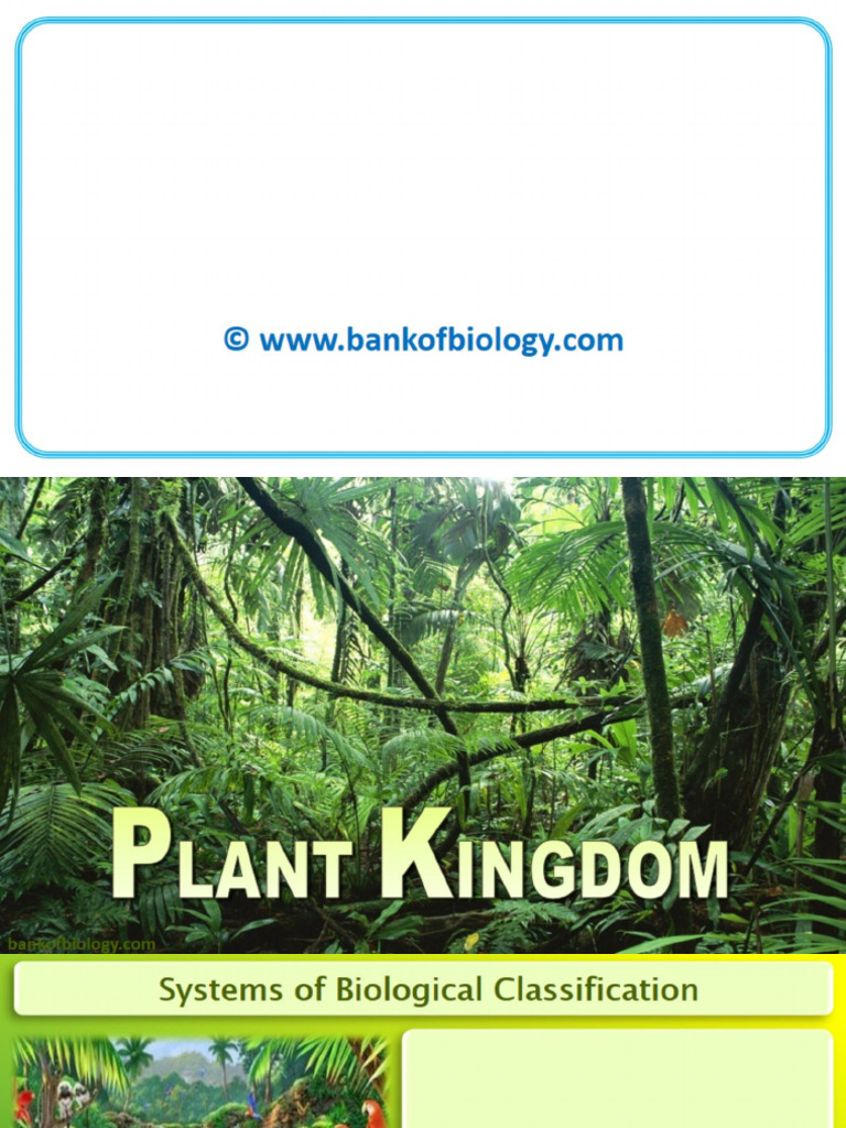 3 Plant Kingdom | PDF