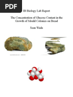 Lab Report Outline Moldy Bread | PDF | Scientific Method | Experiment
