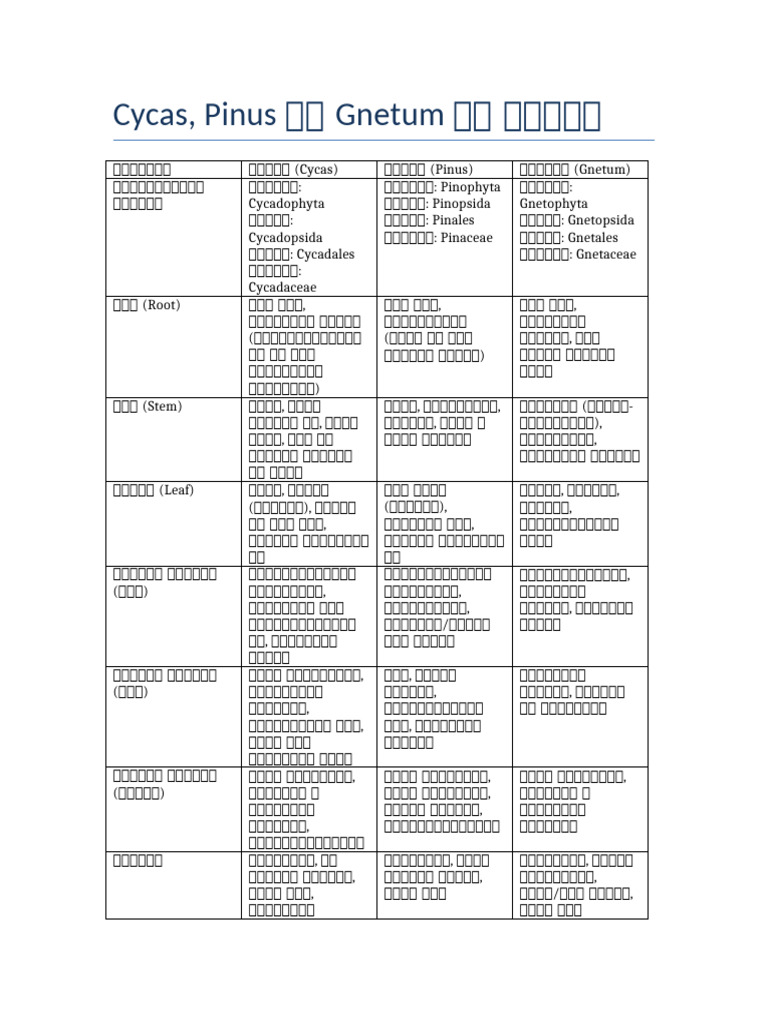 Cycas Pinus Gnetum Comparison | PDF
