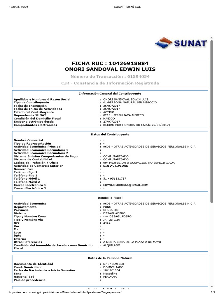 Ficha Ruc Edwin | PDF | Industrias de servicio