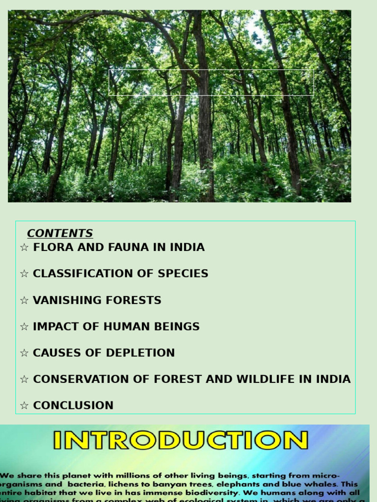 Forest and Wildlife Resources PPT CH-2 GEO | PDF