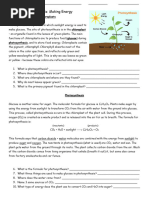 Photosynthesis and CellRespiration AnswerKey | PDF