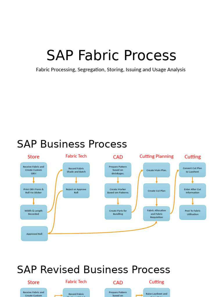 SAP Fabric Process (Autosaved) | PDF