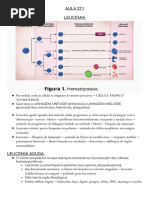 Bastonetes de Auer Caracteristicas e Significado Clinico | PDF ...