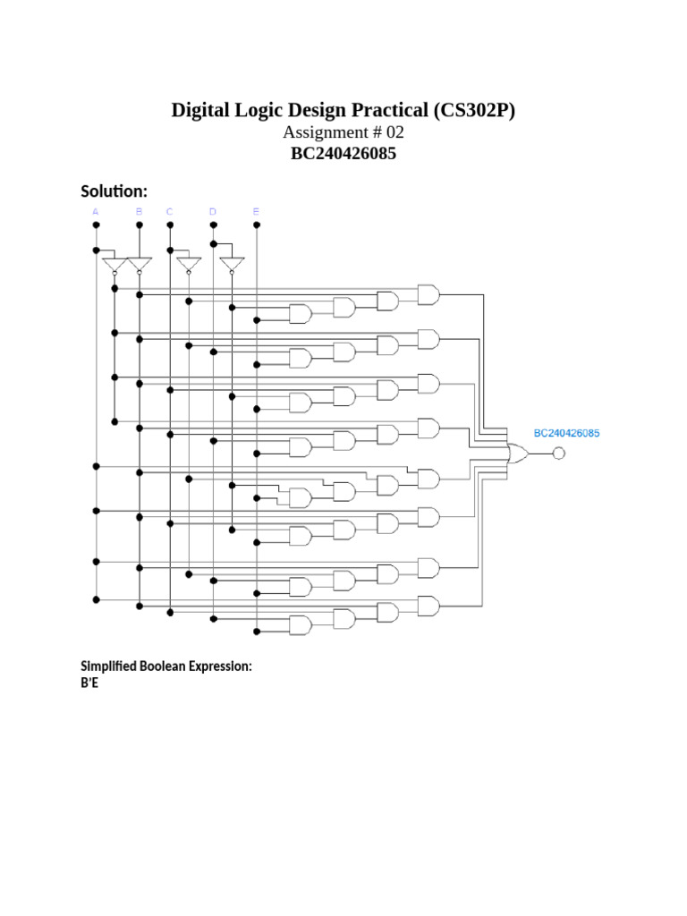 Cs302P Assignment BC240426085 | PDF