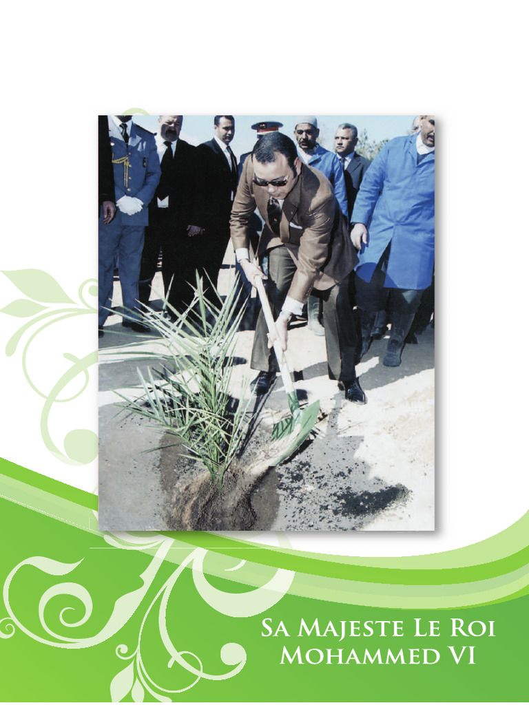 Plan Maroc Vert : Diagnostic Agricole 2023 | PDF | Agriculture ...