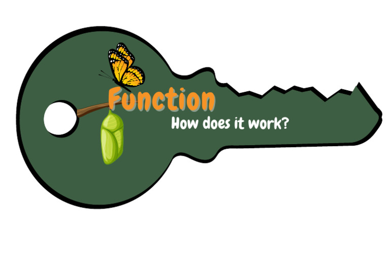 IB Themes Elementaire | PDF