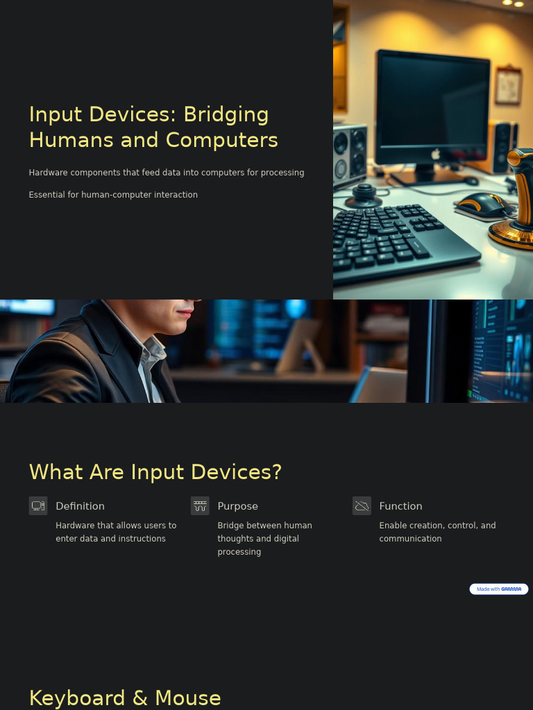Types of Input Devices Explained | PDF | Computer Keyboard | Image Scanner