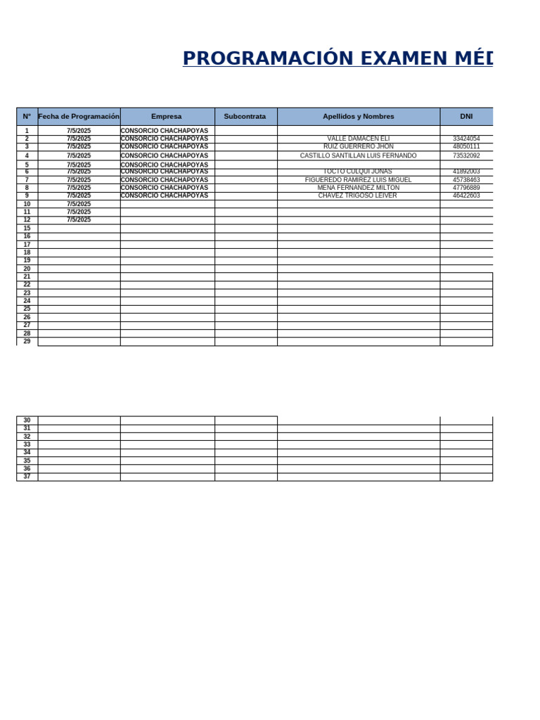 Formato Programacion | PDF