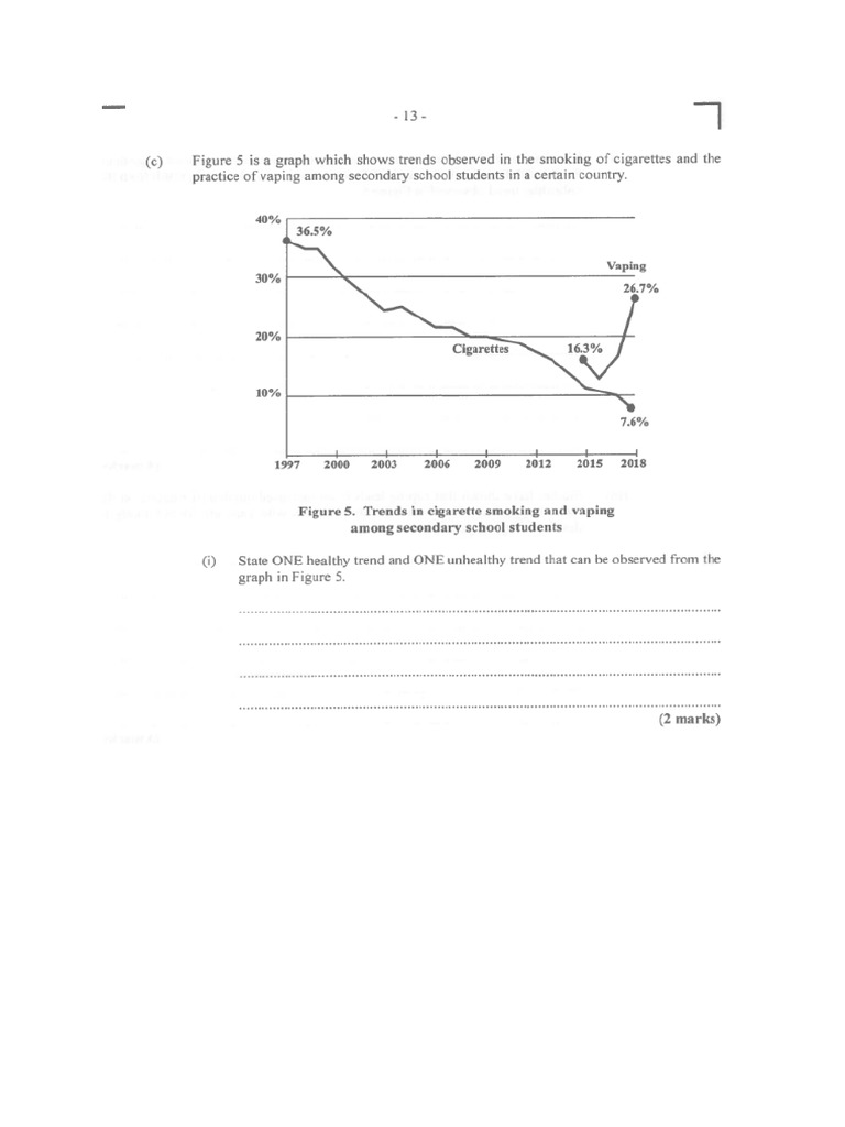 HSB Respiratory System Worksheet | PDF