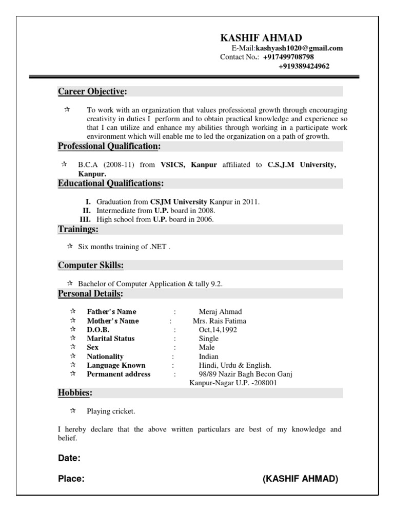 Kashif CV | PDF