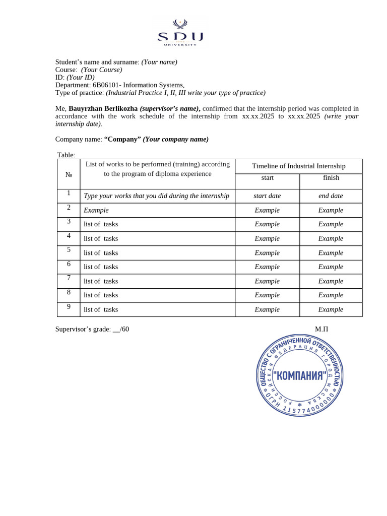 IS Report Template | PDF