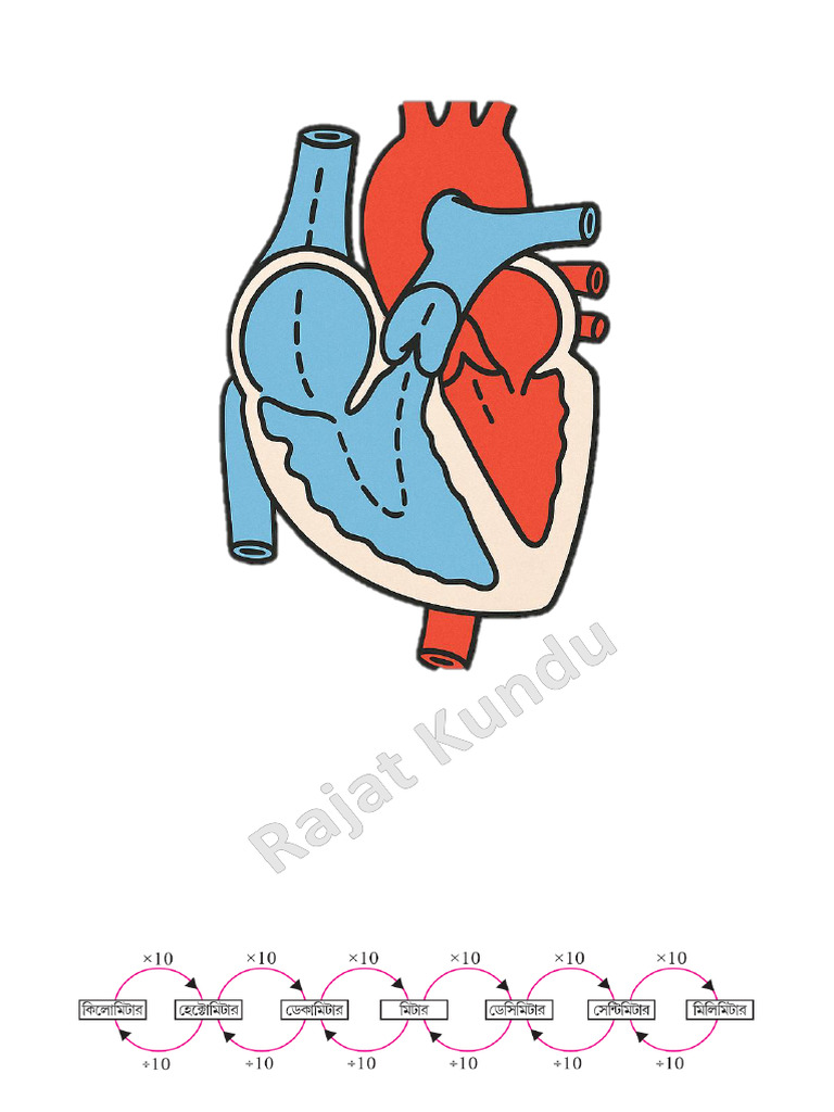 Heart + Unit Parameter | PDF