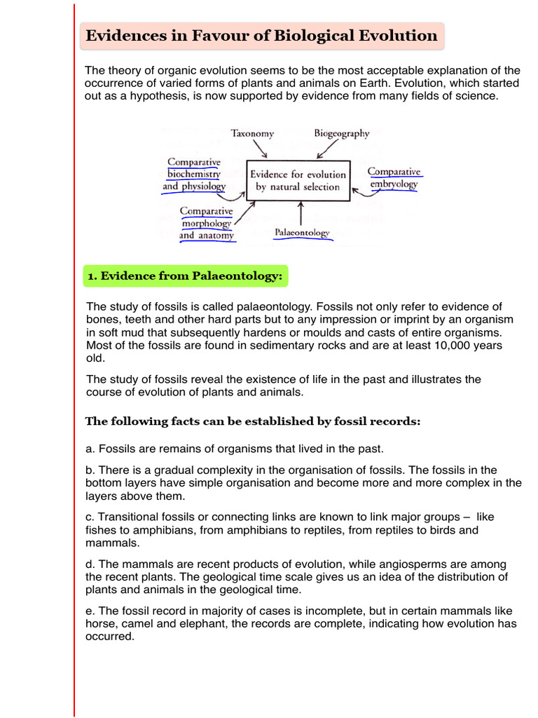 Evidence Supporting Biological Evolution | PDF | Fossil | Embryo