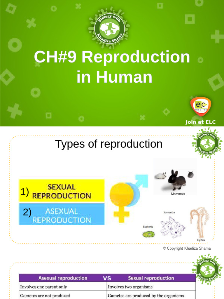 Chapter 9 Reproduction in Human | PDF | Menstrual Cycle | Fertilisation