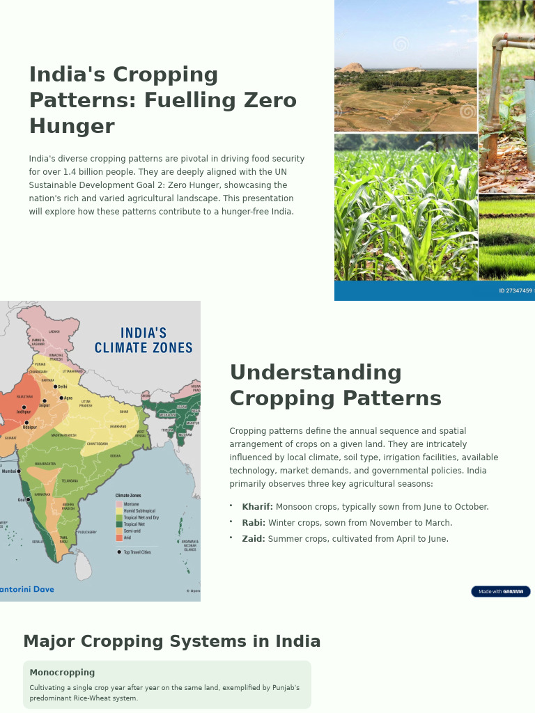 India's Cropping Patterns for Zero Hunger | PDF | Agriculture ...