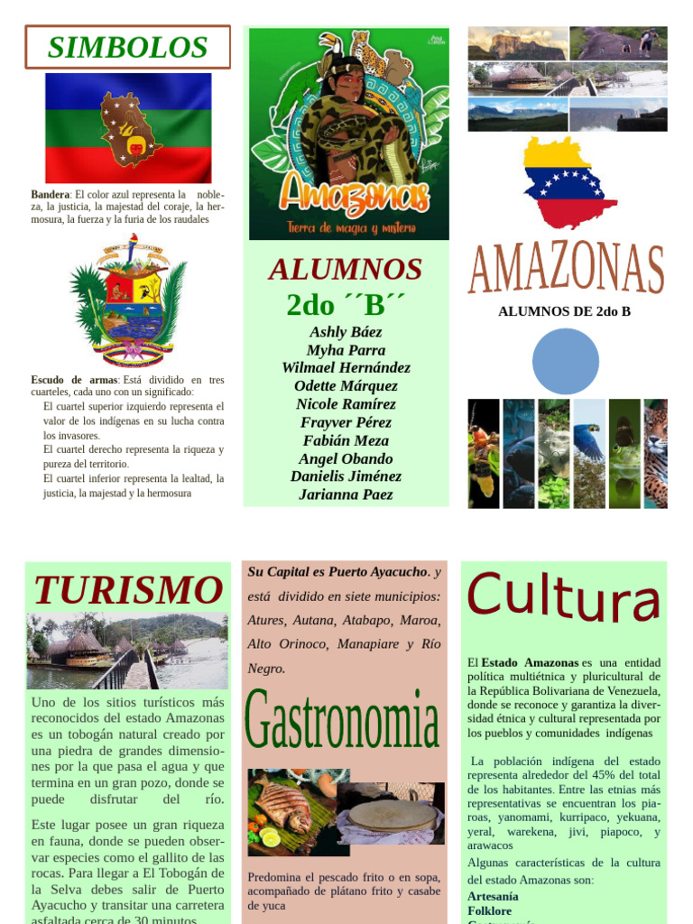 Triptico Estado Amazonas | PDF
