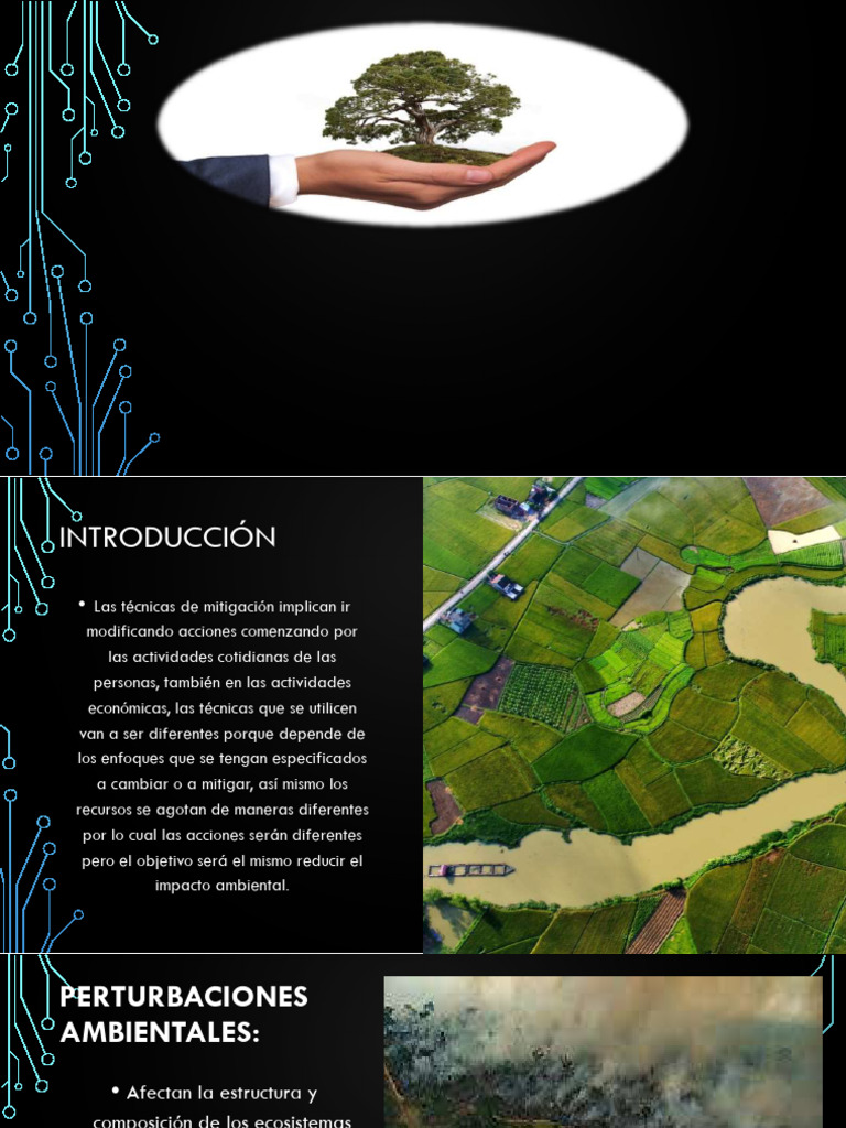 Técnicas de Mitigación | PDF | Entorno natural | Agricultura