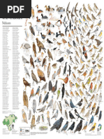 50 Nombres de Aves Comunes | PDF | Aves holarctic | Ornitología