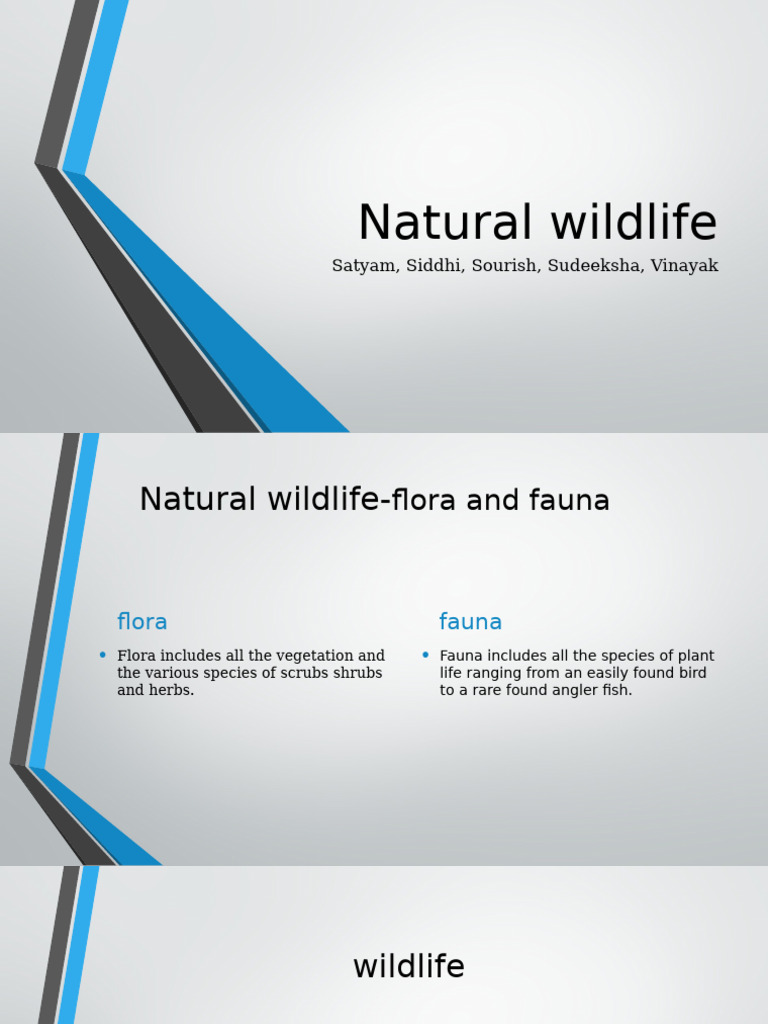 Natural Wildlife | PDF