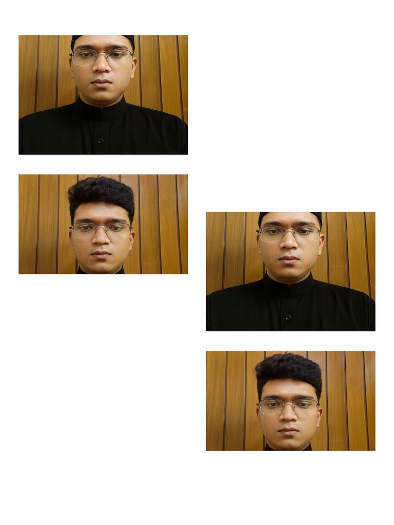 Edited Portraits | PDF