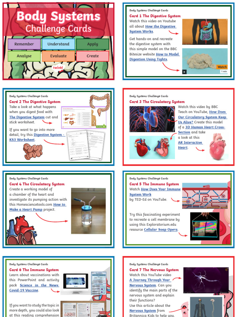 T SC 1626801272 Body Systems Challenge Cards Ver 3 | PDF