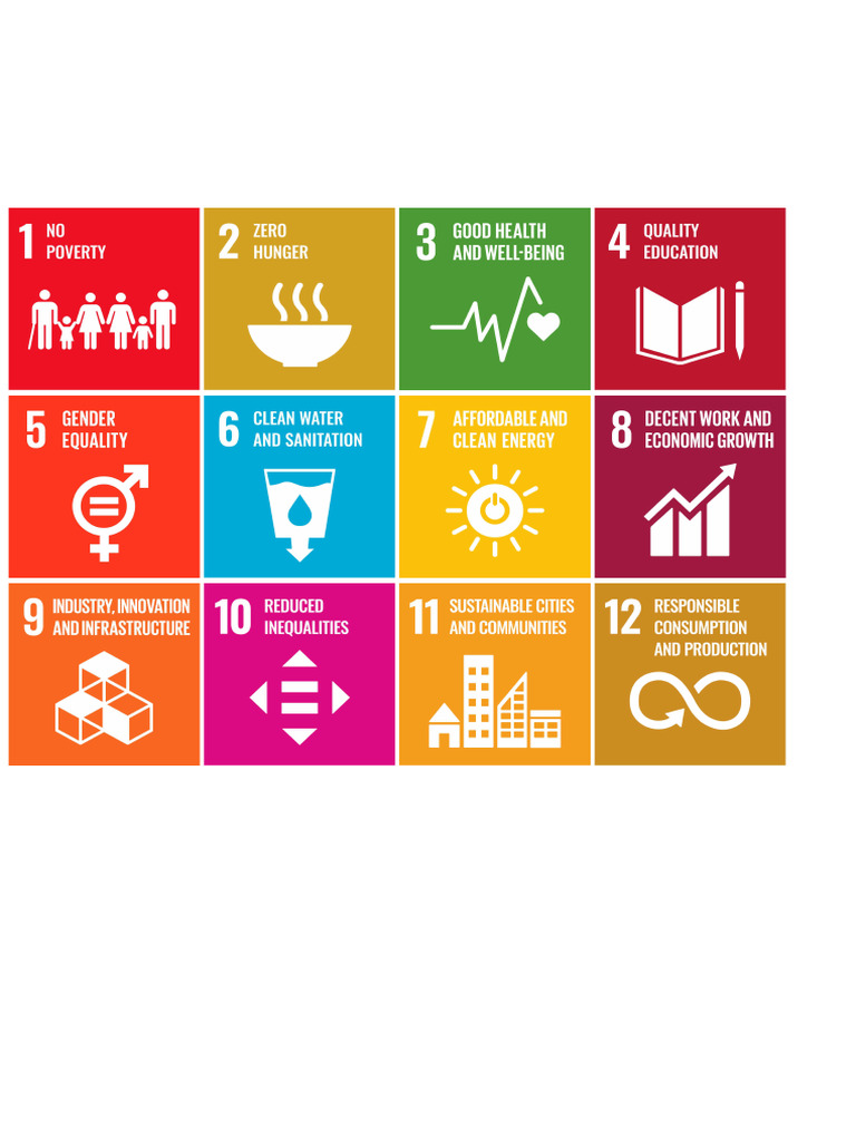 SDG Icon | PDF
