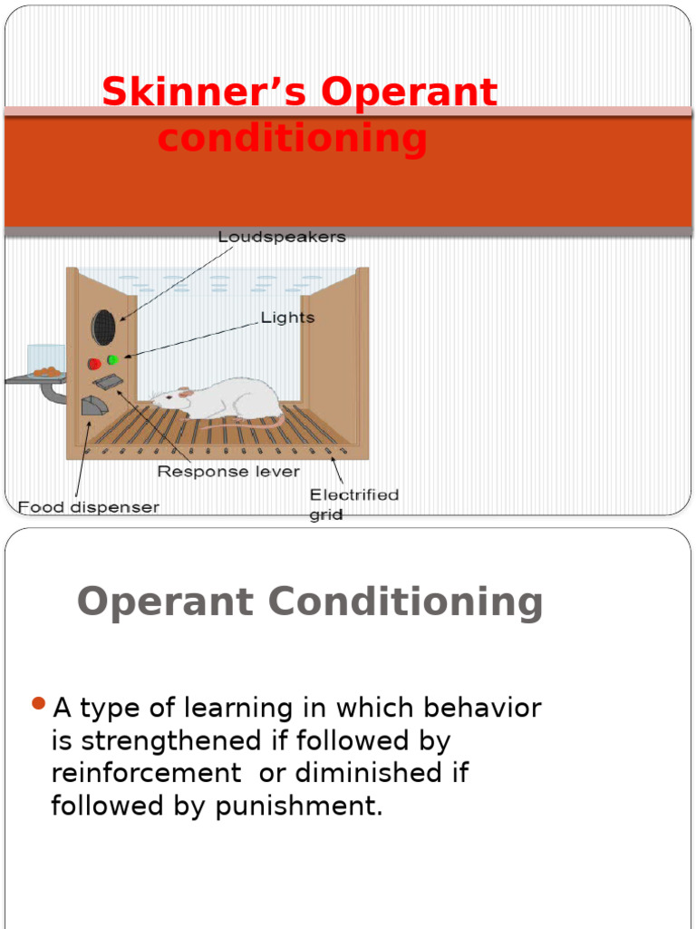 Skinner Operant Cond | PDF | Reinforcement | Behavior Modification