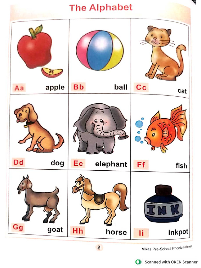 CVC Reading Book | PDF