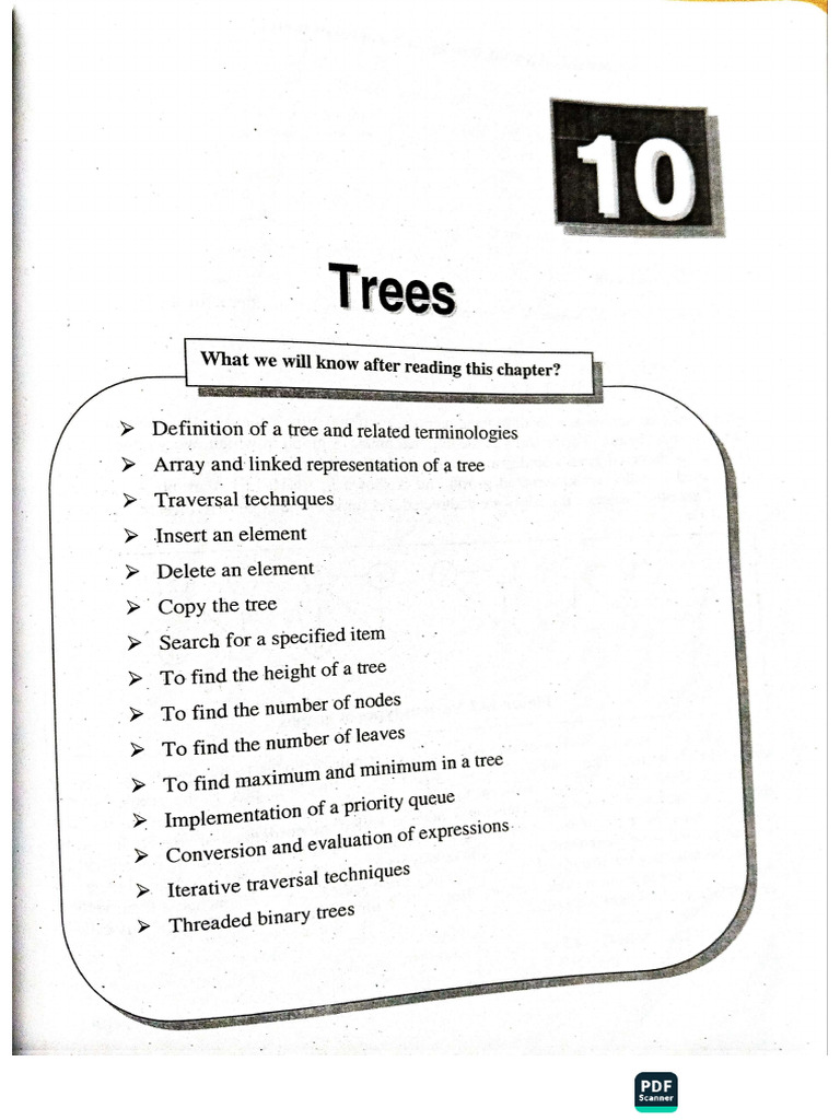 Binary Trees | PDF