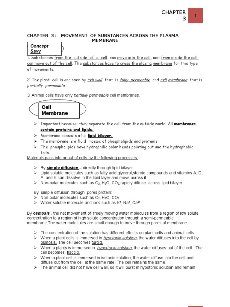 Chapter 3 Movement Of Substances Across Plasma Membrane Essay On