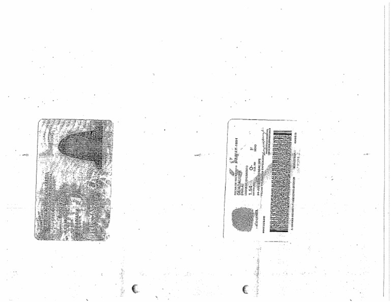 CC Lida Maria Iles | PDF