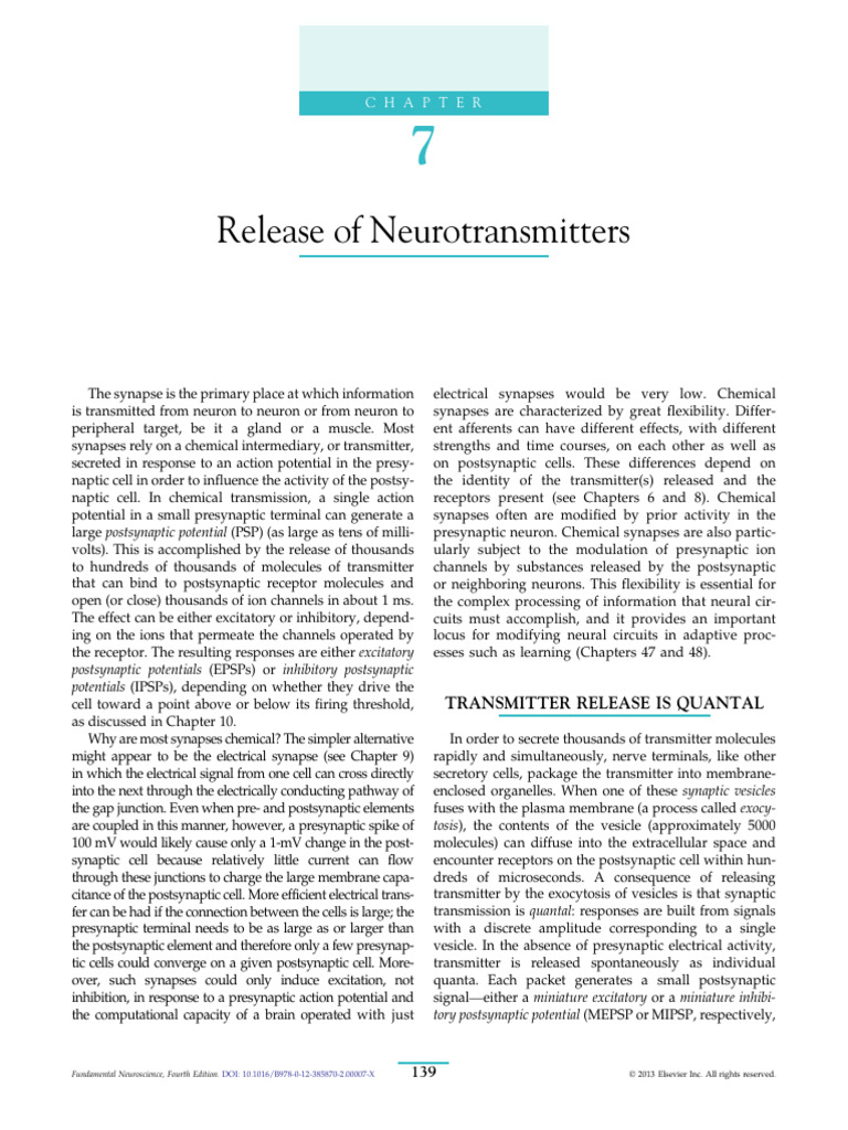 Chapter 7 Release of Neurotransmitters 2013 Fundamental Neuroscience ...
