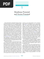 Metaneuron Manual | PDF | Inhibitory Postsynaptic Potential | Membrane ...