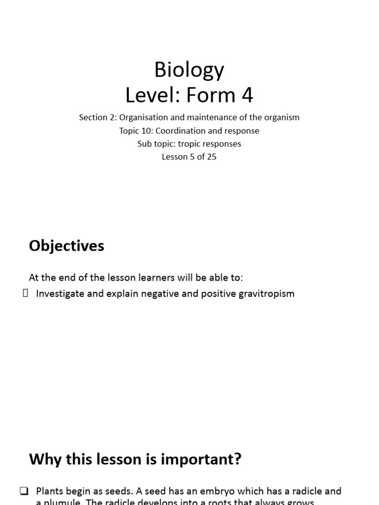 Understanding Gravitropism in Plants | PDF | Organisms | Plant Physiology