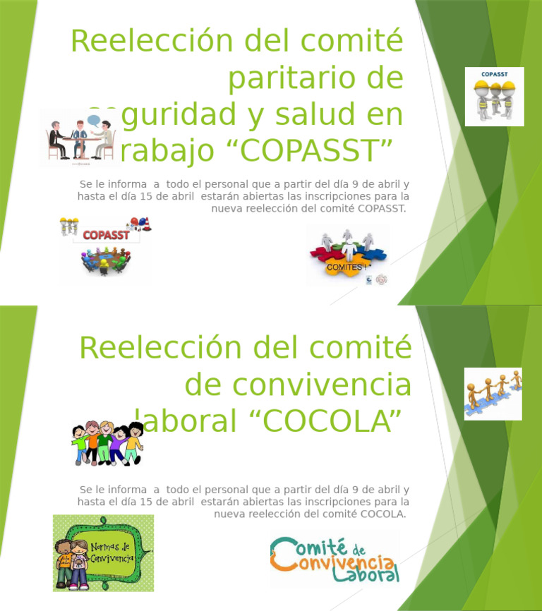 Reelección Del Comité Paritario de Seguridad y Salud | PDF