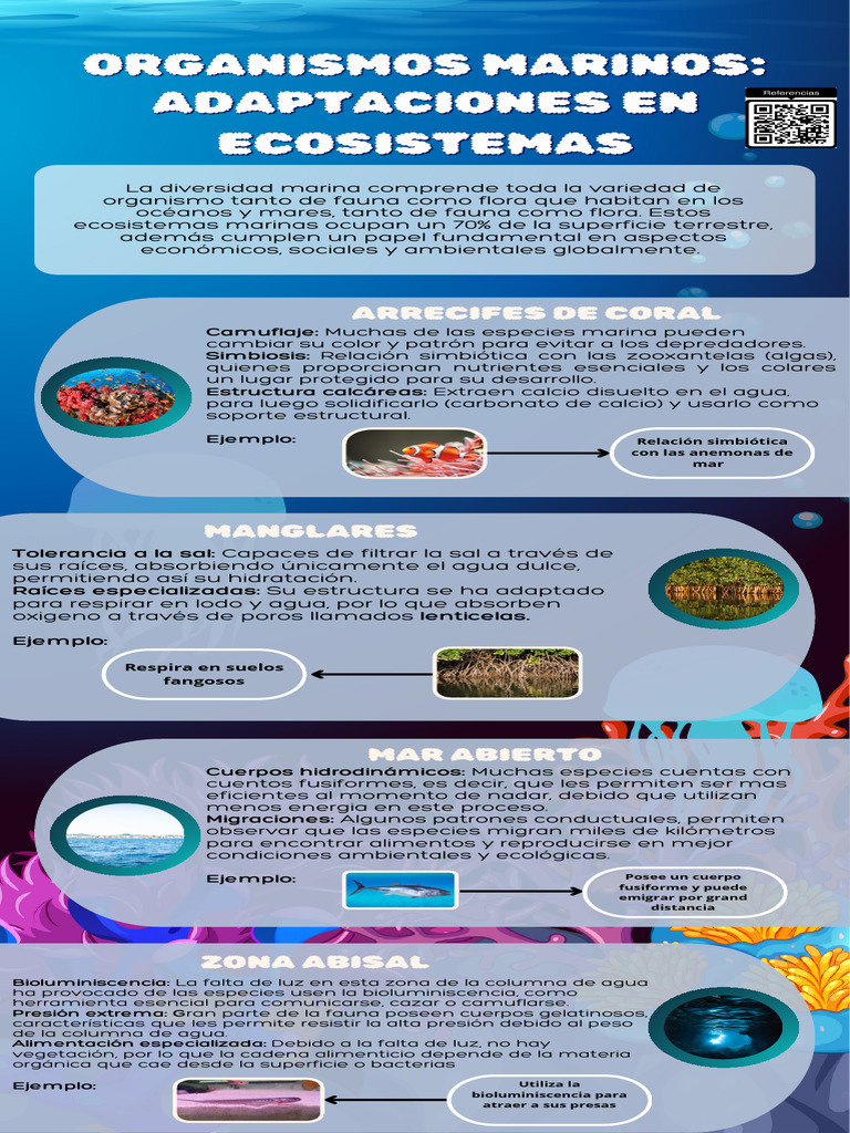 Infografía Organismos Marinos Adaptacion en Ecosistemas | PDF | Mar | Agua