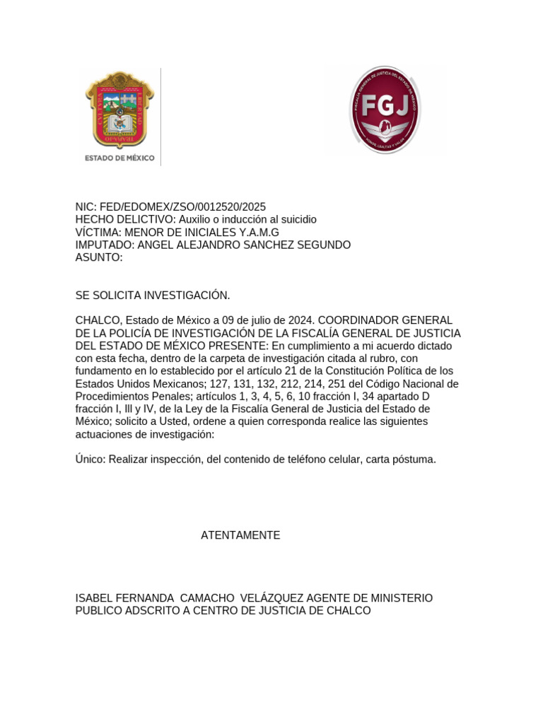 Formato Pdi | PDF