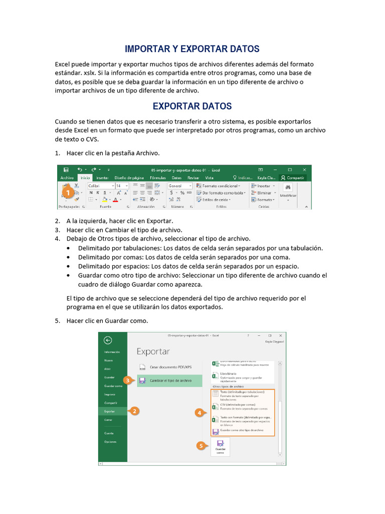 Importar y Exportar Datos en Excel | PDF | Archivo de computadora ...