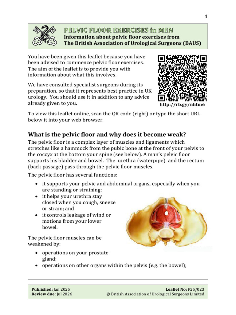 Pelvic Floor Exercises for Men | PDF | Pelvis | Urinary Incontinence