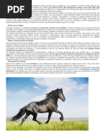 Equus Ferus Caballus | PDF | Caballos | Équidos