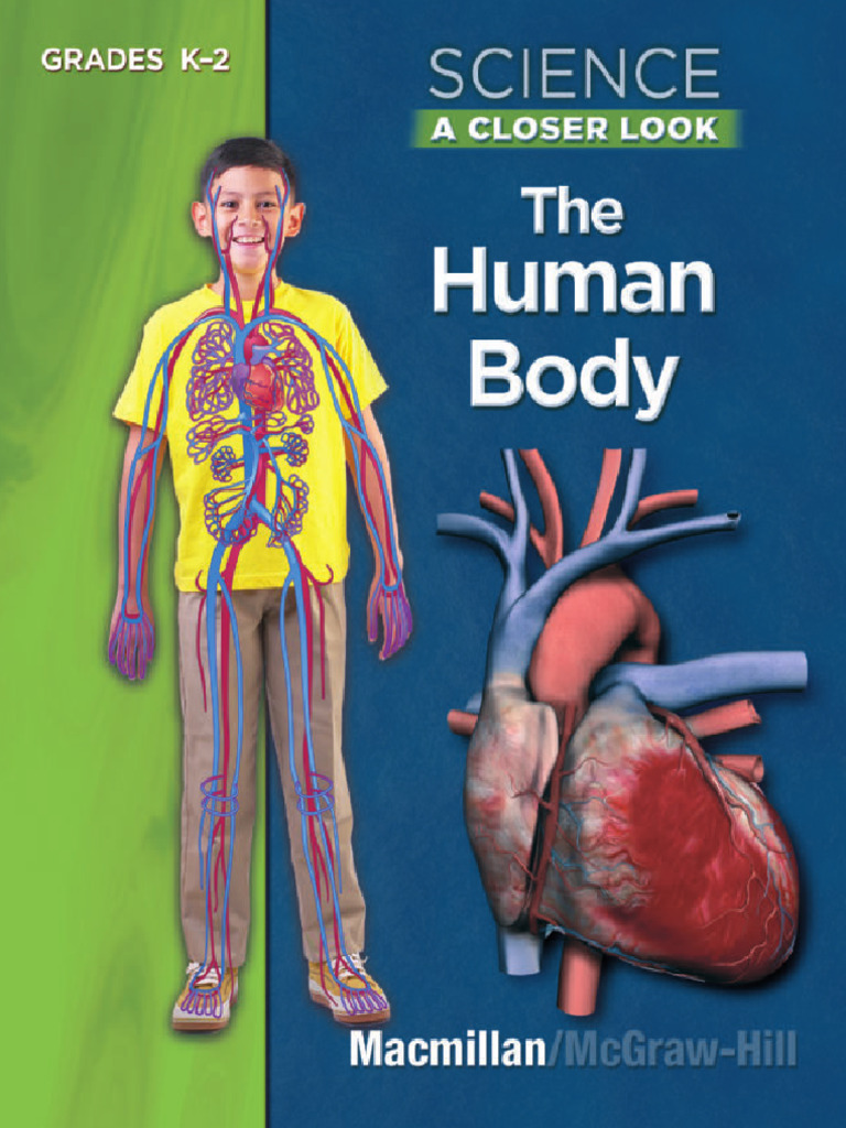 Science A Closer Look. The Human Body | PDF | Taste | Getty Images