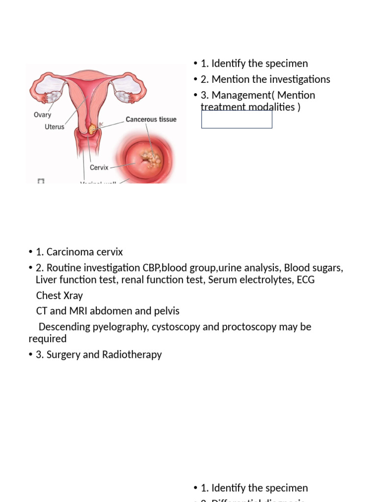 Bushra Spotters | PDF