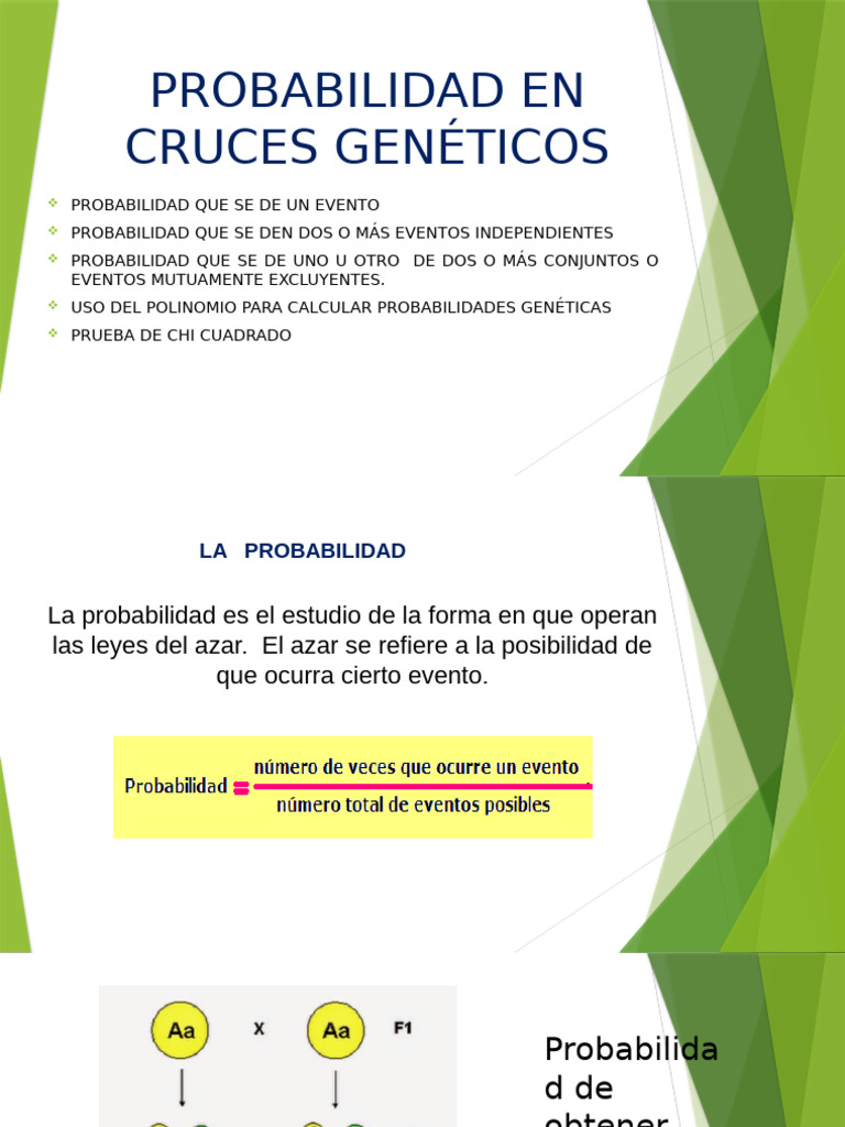 Probabilidad en Cruces Genéticos (Autoguardado) | PDF | Dominancia ...